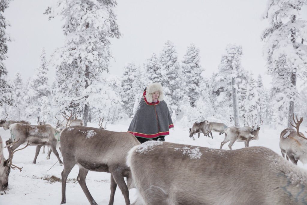 Photo Essay: European Indigenous Sami defend their land and livelihood ...