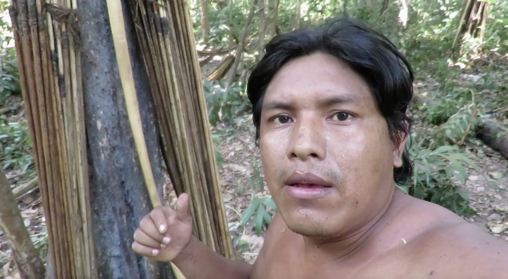 Deforestation in the Amazon puts uncontacted tribe in danger — If Not ...